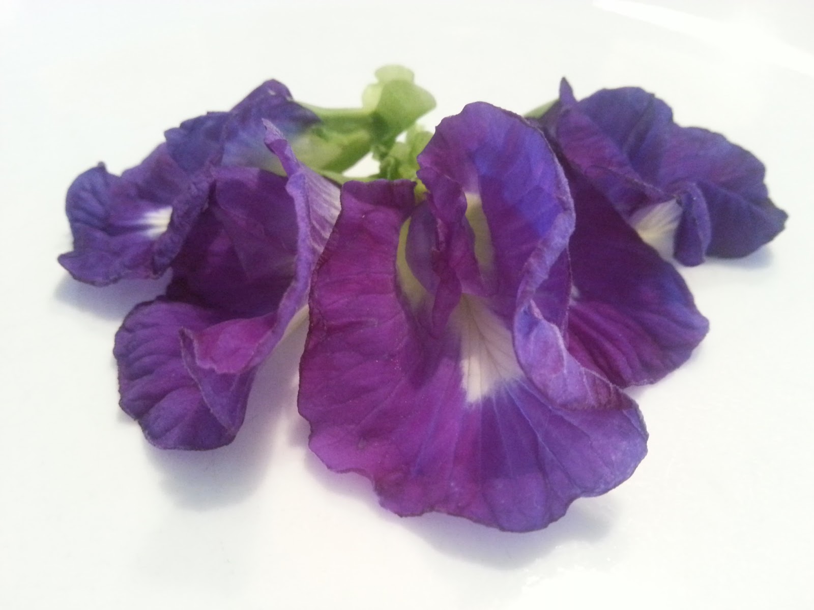 Hani's Kitchen: Nasi Lemak Bunga Telang aka Coconut Blue Rice